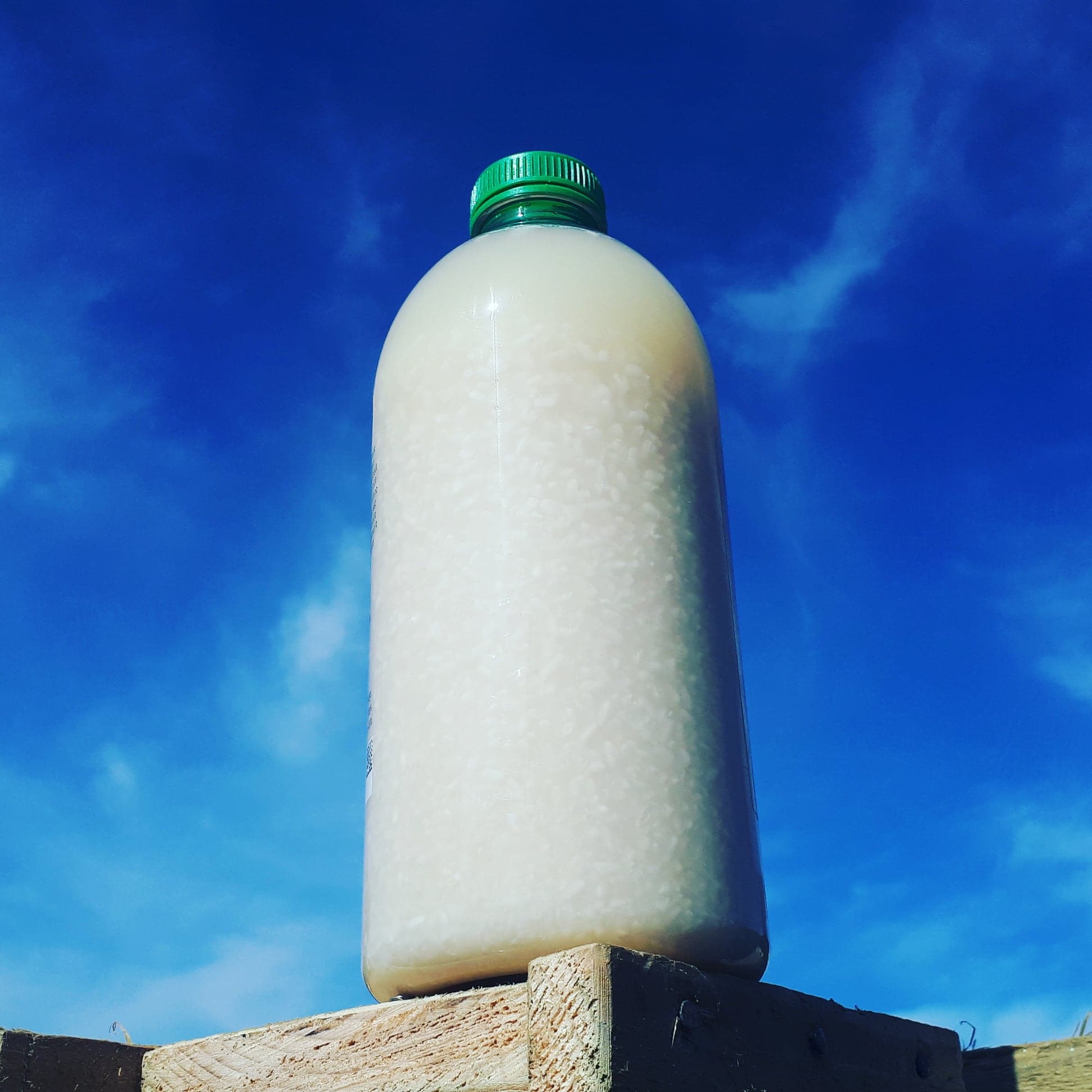 Miso and Koji - Buy from Umami Chef