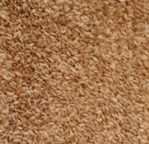 Fava Bean and Toasted Rice Shoyu - Umami Chef