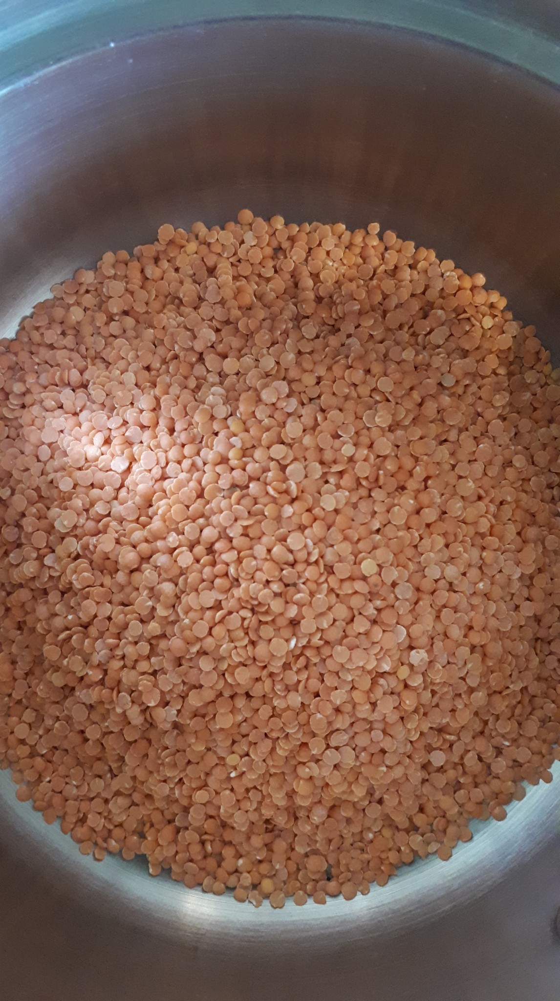 Red Lentil Miso - Umami Chef